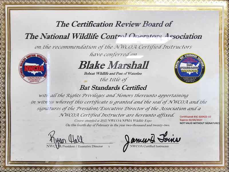 About Us - Bobcat Wildlife & Pest Management | Waterloo, IA