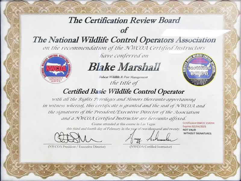 About Us - Bobcat Wildlife & Pest Management | Waterloo, IA